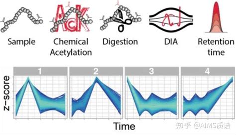 Dia技术在乙酰化修饰定量方面如何提高准确性 Aimsmass实验室 知乎