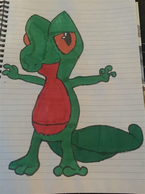 My Treecko Drawing R MandJTV