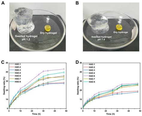 Hydroxyethyl Cellulose Based Hydrogels As Controlled Release Carriers