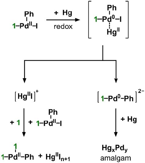Scheme 3 Proposed Pathways For The Mercury Redox Decomposition Of Pd Download Scientific