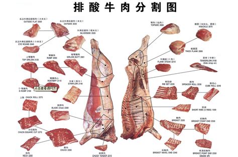 牛眼肉是哪个部位图解各种眼型图解 伤感说说吧