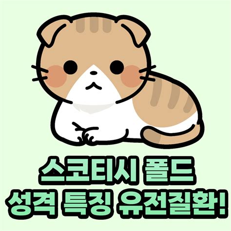 고양이 종류 포에버캣