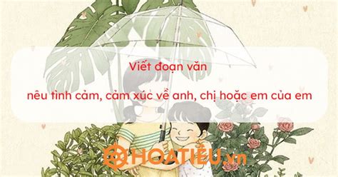 Viết đoạn Văn Nêu Tình Cảm Cảm Xúc Về Anh Chị Hoặc Em Của Em 10 Mẫu