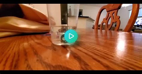 Vinegar Vs Rust Album On Imgur