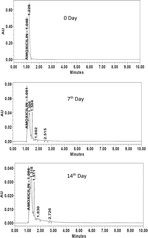 Removal Of Amoxicillin At Day 0 7th And 14th In Experimental Flasks Download Scientific
