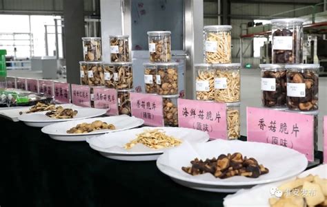 拉练晒实绩，点评增干劲！市委市政府举行全市2021年第一次重特大产业项目攻坚拉练澎湃号·政务澎湃新闻 The Paper