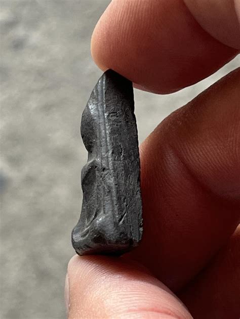 ชื่อพระเครื่อง นางพญาหลังตะแกรง หลวงพ่อเทียม วัดกษัตราธิราช อยุธยา ปี2519 Ennxo