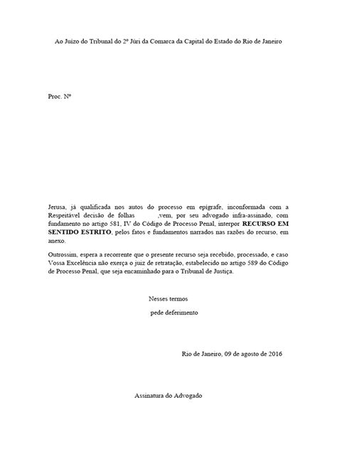 Recurso Em Sentido Estrito Pdf Intenção Direito Penal Homicídio