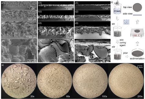 A C Sem Of The Side View Of Lm Layer Due To The Huge Surface Tension