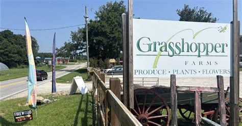 Historic Grasshopper Farms General Store Fears Future By Ncdot Road