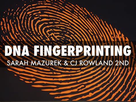 Dna Fingerprinting By Sarah Mazurek