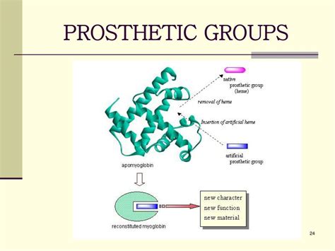 Ppt Enzymes Powerpoint Presentation Free Download Id 6886656