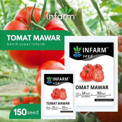 Jual INFARM Benih Bibit Biji Super Tomat Mawar Shopee Indonesia