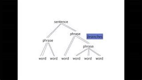 Word Tree Diagram Linguistics