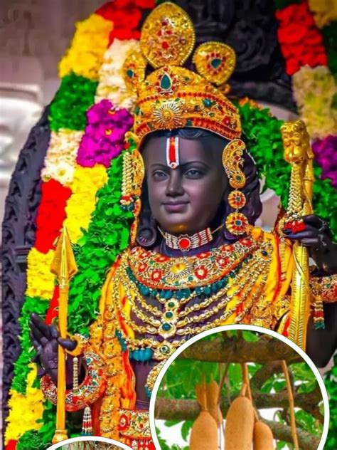 वनवास में ये वाला फल खाते थे श्रीराम आज भी इन गंभीर बीमारियों की करता
