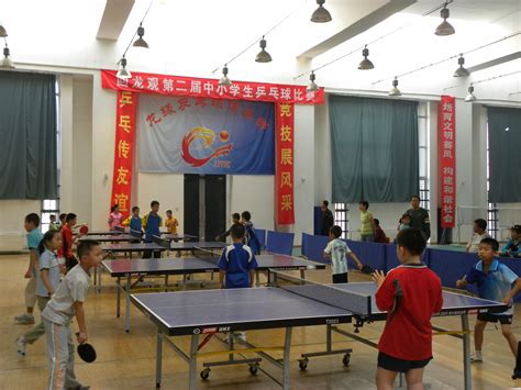 回龙观第二届中小学乒乓球比赛照片 回龙观社区网