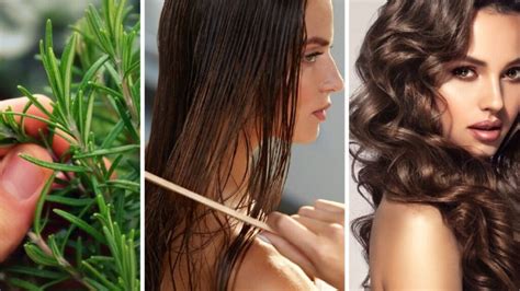 Remedios Caseros Para Que Salga Cabello Y No Se Caiga Remedios Caseros