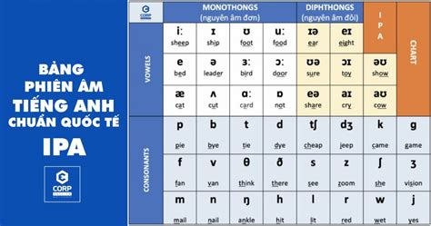 Phiên âm tiếng anh IPA là gì Học phát âm tiếng anh chuẩn 44 phiên âm