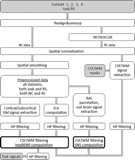 Schematic Pipeline Depiction Of Fmri Data Preprocessing And Computation Download Scientific