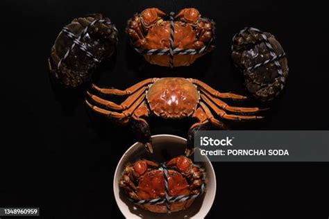 삶은 상하이 털이 많은 게 또는 중국 장갑 게 칠리와 검은 배경에 허브 게에 대한 스톡 사진 및 기타 이미지 Istock