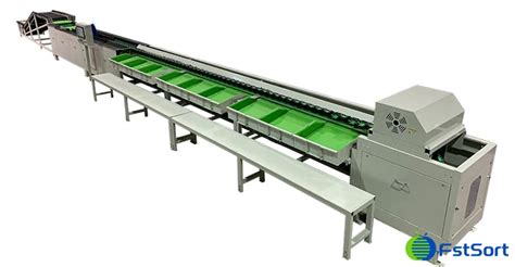 Mango Grading Machine