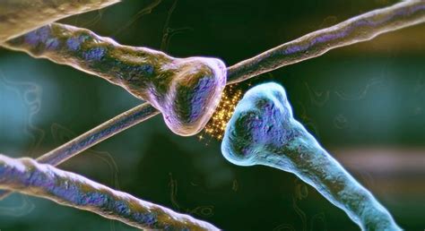 Nature Research Custom Media On Linkedin Creating An Ecosystem For Drug Discovery