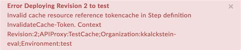 Invalidate Cache Policy Deployment Error Troubleshooting Apigee