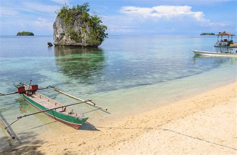 Adventure Wildlife And Culture In Sulawesi Indonesia