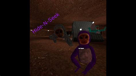 Playing Hide N Seek In Capuchin Youtube
