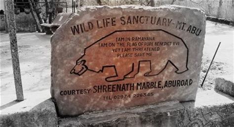 Mount Abu Wildlife Sanctuary Wildlife Sanctuary On The Aravallis