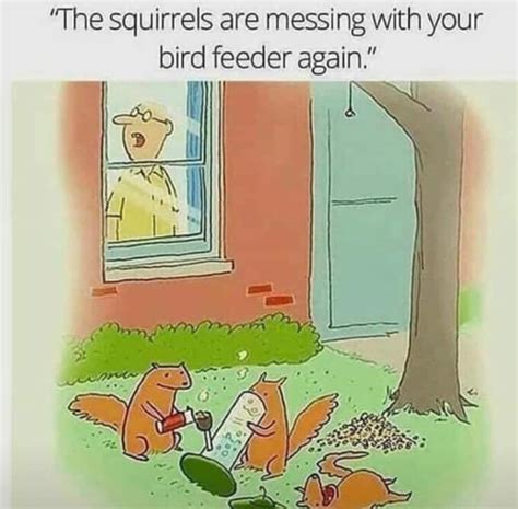 Adolescent Squirrel Comic Scrolller