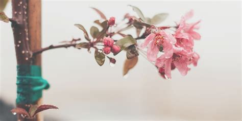 Compromise In Relationships Why Its Harmful And What To Do Instead