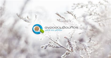 Τα Φυτά του Χειμώνα αγροσύμβουλος ματιά στο μέλλον
