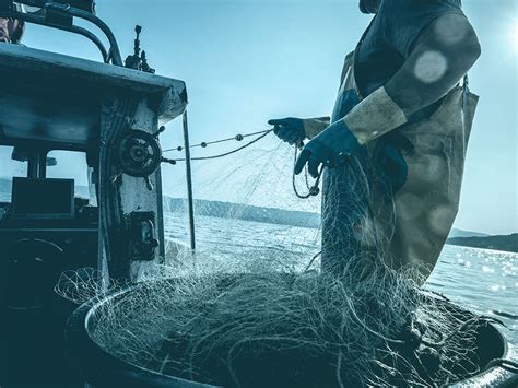 Dna Extraction For Direct Pcr Pcr Biosystems