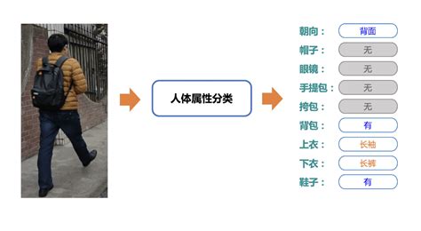 超强图像分类算法开源！cpu端3毫秒快速识别！一行代码即可训练！ 智源社区