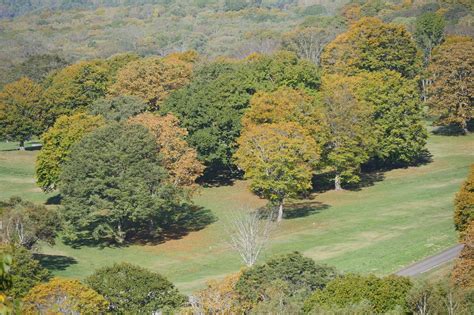 上越妙高 紅葉情報2023笹ヶ峰高原周辺 色づき始め 撮影 10月12日 木 雪国ジャーニー