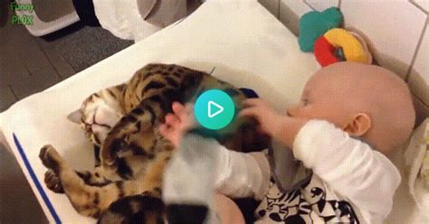 Watchvyguqwnvd3lw  On Imgur