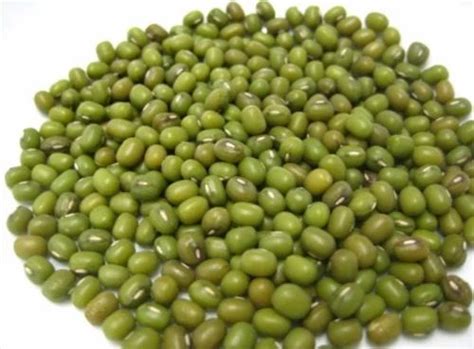 Organic Whole Moong at ₹ 85/kilogram | ऑर्गेनिक मूंग की दाल in Indore ...