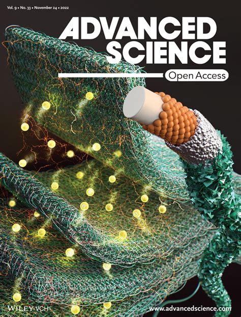 Alternating Flow Field Design Improves The Performance Of Proton