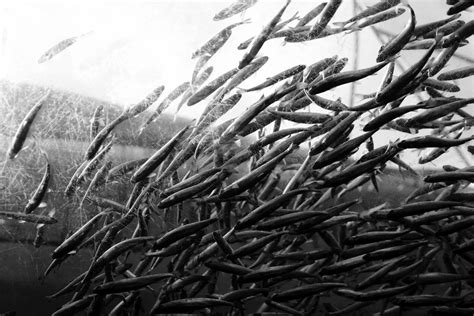 Street Arch 01 Lillian Zhu