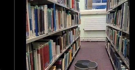 Meme Harvest 002 Phone Clearing Dump The Return Album On Imgur