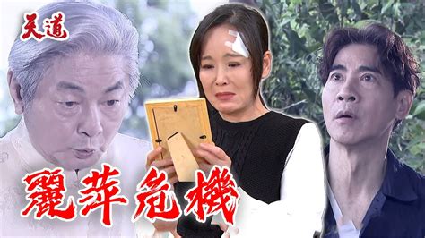 天道 Ep281預告 麗萍背負黑書詛咒 可能引來奪命危機？｜ Setdramatw Youtube