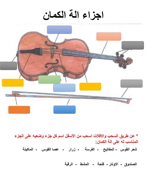 نشاط اجزاء الة الكمان Online Exercise For Live Worksheets
