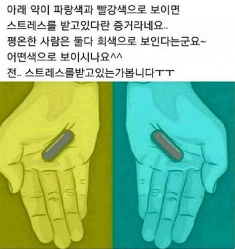 이 사진 나는 아무리 봐도 파란 빨간 색으로 보이거든 인스티즈instiz 익명잡담 카테고리