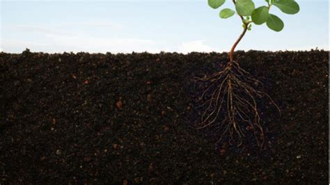 Introduction To Cause Mapping® Effective Root Cause Analysis