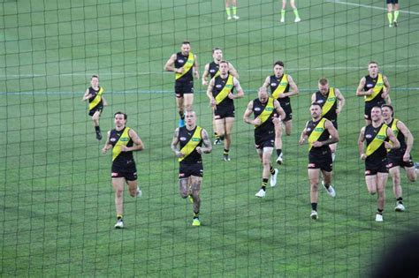 Lawrence Miha On Linkedin 2023 Afl Round 17 Richmond Tigers Vs Sydney