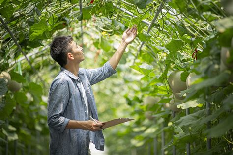 好食好事助彰化青農登上群募平台 支持青創有優惠｜cmoney 股市爆料同學會