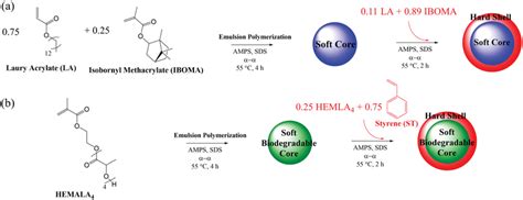 Monomer Combination For The Production Of Core Shell Nps With A Soft Download Scientific