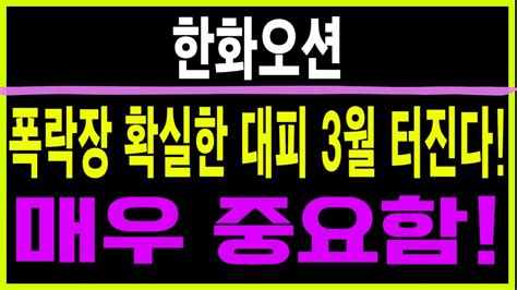 주식 한화오션 폭락장 확실한 대피 3월 터진다 한화오션 한화오션주가 한화오션주가전망 한화오션목표가 Hd현대중공업 삼성중공업 Hd한국조선해양 삼성중공업목표가