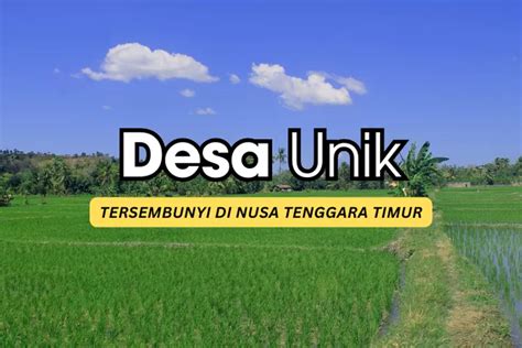 Inilah 7 Nama Desa Unik Di Provinsi NTT Waduh Nomor 3 Nyeleneh Kalau